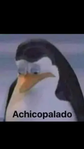 Listen to Radio Secso | Zeno.FM