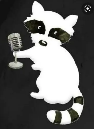 Listen to Racoon radio | Zeno.FM